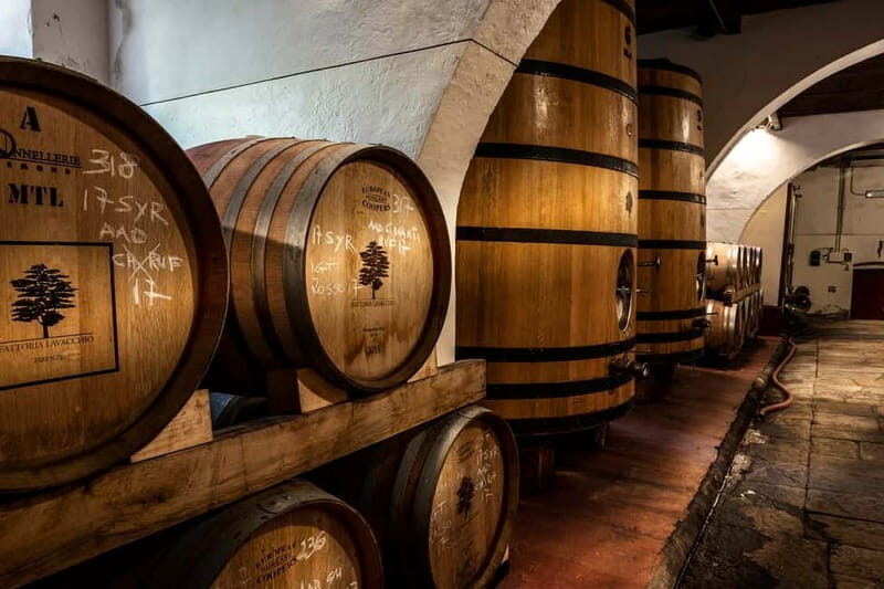 From Florence: Horse Ride and Wine Tour at Estate with Lunch - An In-Depth Look at the Tour Experience