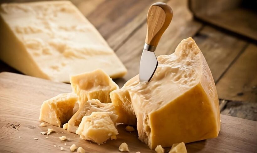 From Florence: Parmesan & Balsamic private tour of Romagna - Final Thoughts