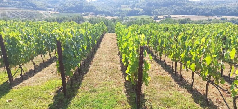 From Florence: Pisa/Chianti Half Day Tour with Wine Tasting - Scenic Drive through Chianti