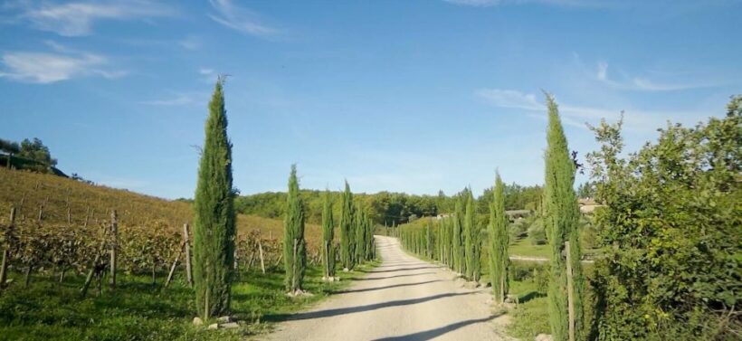 From Florence: Private Half-Day Chianti Tour & Wine Tasting - Key Points
