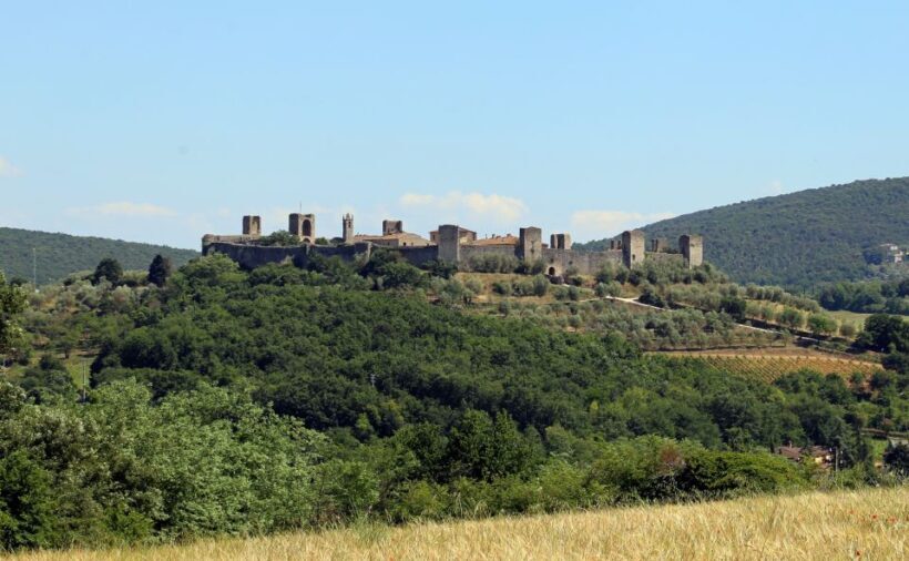 From Florence: Private Siena, San Gimignano + wine tasting - An In-Depth Look at the Tour Experience