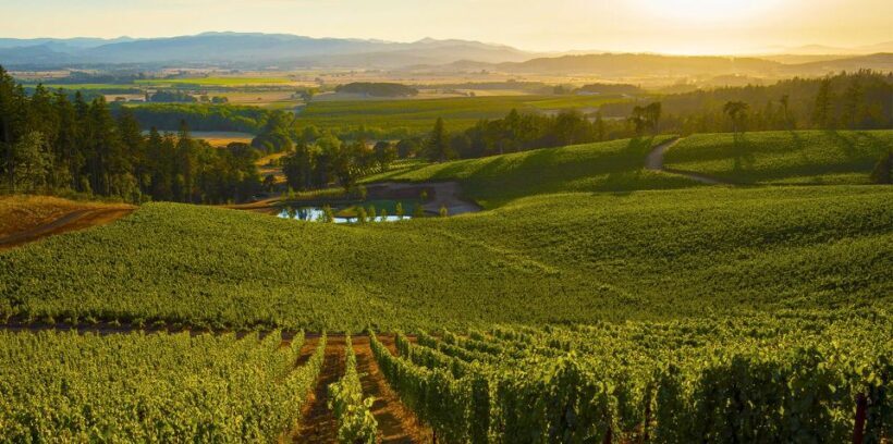 From Florence: PRIVATE Wine Experience in Chianti Classico - Who Should Consider This Tour?