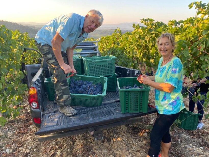 From Florence: PRIVATE Wine Experience in Chianti Classico - FAQs