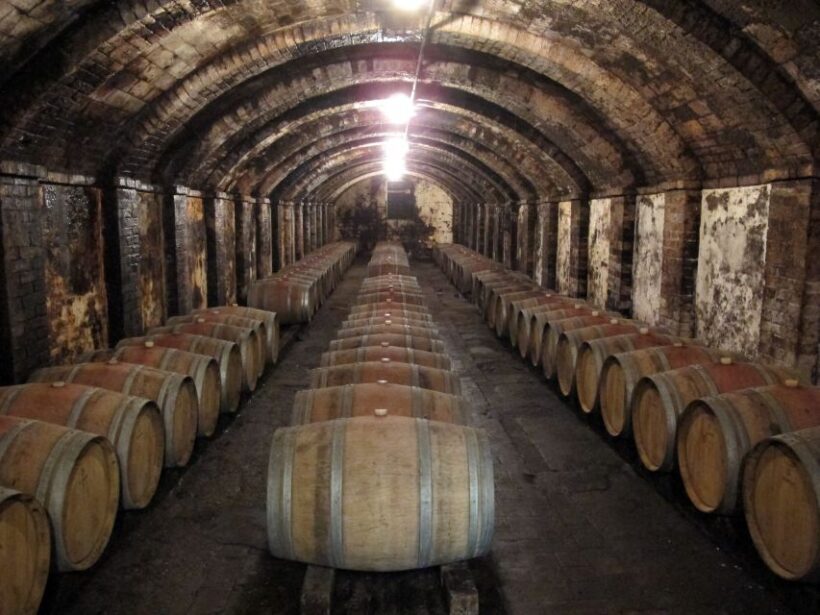 From Florence: Private Wine Tasting Tour in Chianti - Second Winery: A Taste of the Best