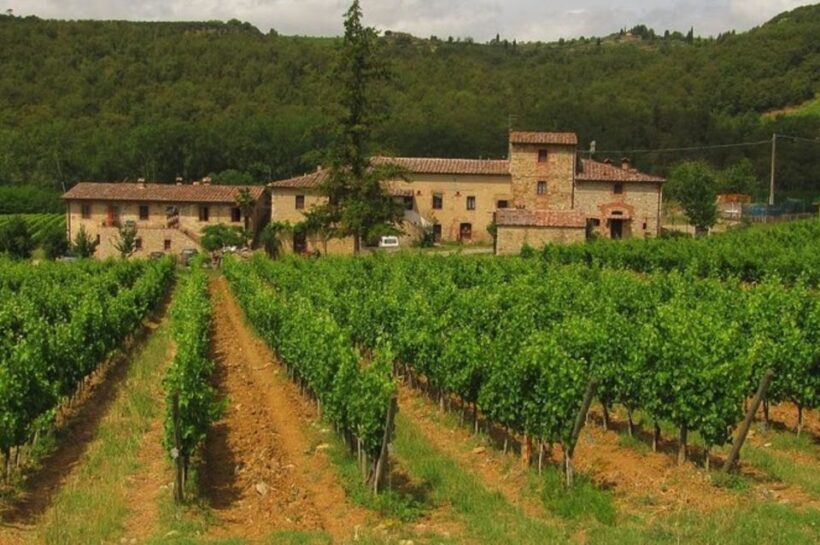 From Florence: Private Wine Tasting Tour in Chianti - Authenticity and Value