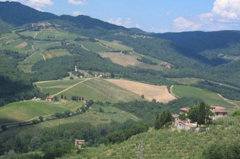 From Florence: Private Wine Tasting Tour in Chianti - Who Should Consider This Tour?