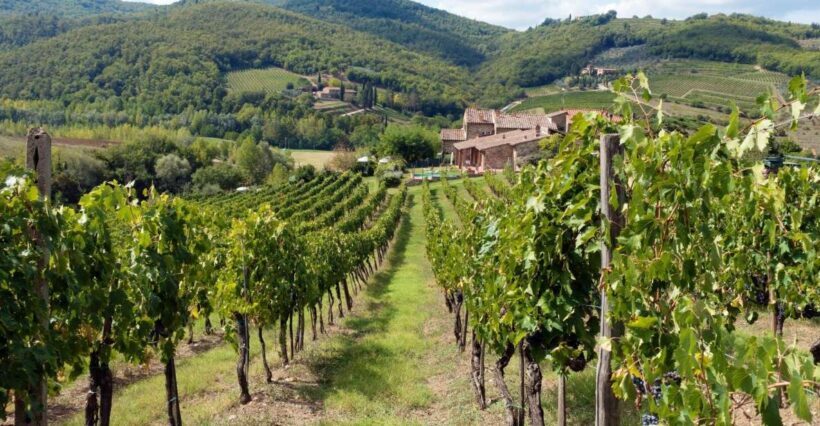 From Florence: Private Wine Tasting Tour in Chianti - Final Thoughts