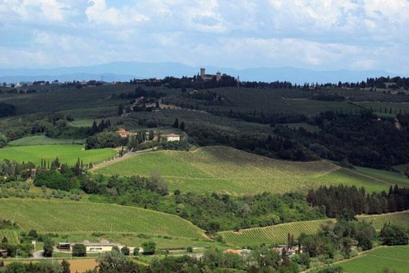 From Florence: Private Wine Tasting Tour in Chianti - FAQ