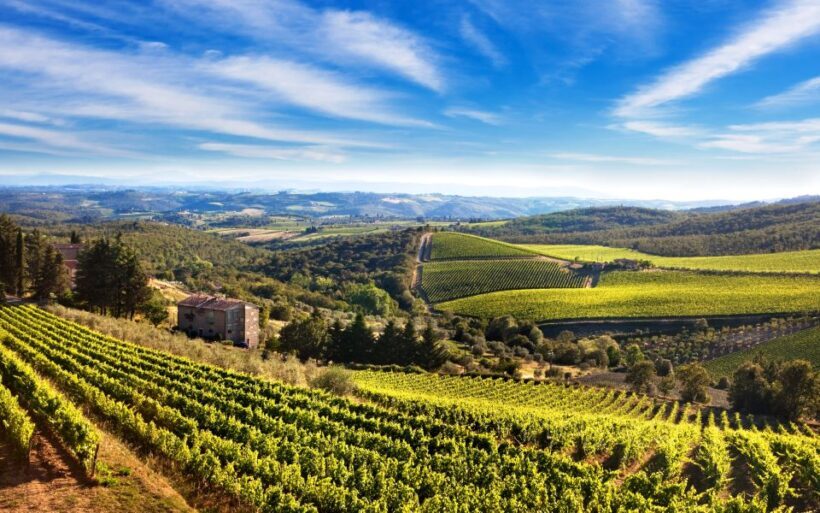 From Florence: Private Wine Tour with Dinner on an Estate - Key Points