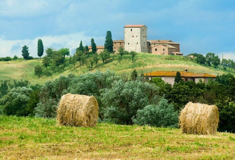From Florence: Private Wine Tour with Dinner on an Estate - A Closer Look at the Experience