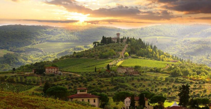 From Florence: Private Wine Tour with Dinner on an Estate - Who Will Love This Tour?