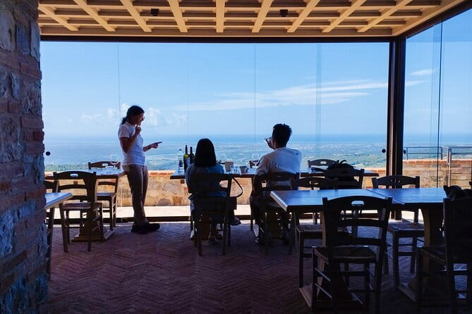 From Florence PRIVATE:Bolgheri Wine Tour,tasting among the Tuscany coastal hills - Introduction