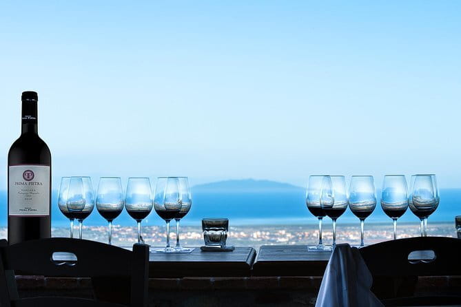 From Florence PRIVATE:Bolgheri Wine Tour,tasting among the Tuscany coastal hills - A Closer Look at the Itinerary