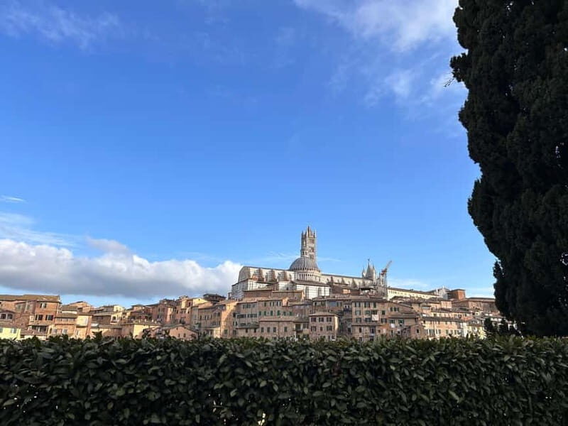 From Florence: San Gimignano, Siena, and Chianti Wine Tour - Who is This Tour Best For?