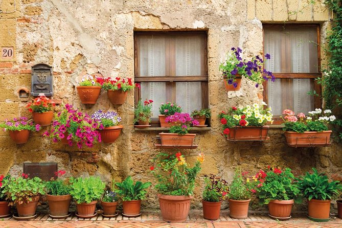 From Florence: San Gimignano, Siena Tour Review - Customer Feedback on Guides