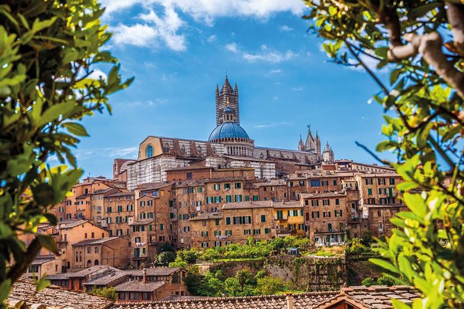From Florence: San Gimignano, Siena Tour Review - Exploring the Tuscan Countryside Independently