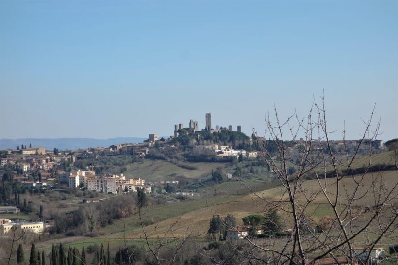 From Florence: San Gimignano & Vernaccia Wine Tour - Who Will Enjoy This Tour?