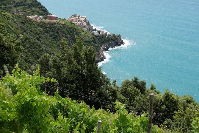 From Florence: Semi-Private Cinque Terre Exploration - Hiking Through Seaside Vineyards