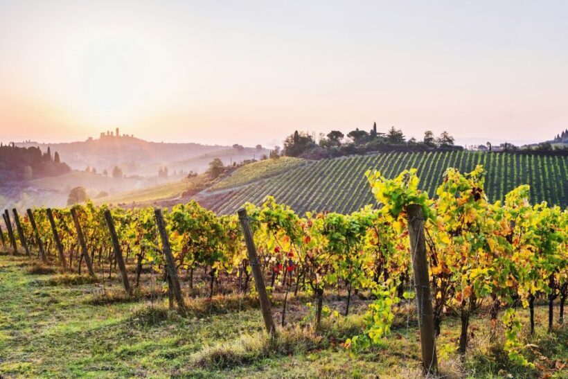 From Florence: Siena & San Gimignano Tour with Wine & Lunch - Who Will Enjoy This Tour?