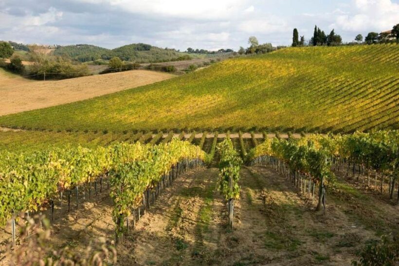 From Florence: Siena & San Gimignano Tour with Wine & Lunch - FAQ
