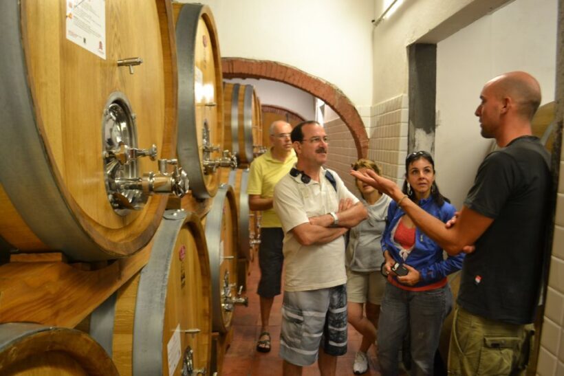 From Florence: Small-Group Chianti Wine Tour - Who Should Consider This Tour?