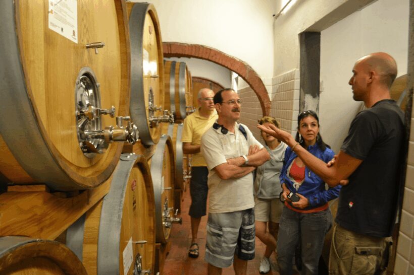 From Florence: Small-Group Chianti Wine Tour - In The Sum Up