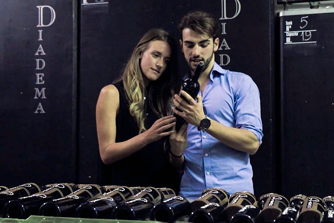 From Florence: Small-Group Tuscany Tour Review - Guest Experiences and Feedback