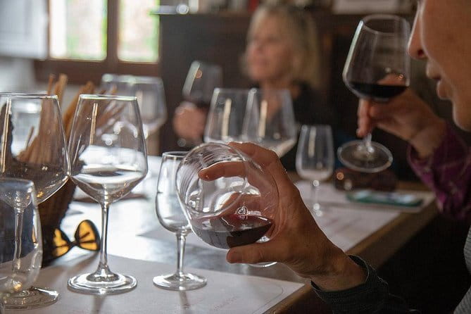 From Florence to Chianti Rufina: Wine Tasting Experience - From Florence to Chianti Rufina: Wine Tasting Experience — A Detailed Look