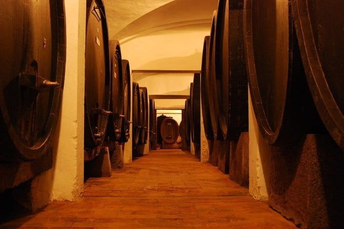 From Florence to Chianti Rufina: Wine Tasting Experience - Who Would Enjoy This Tour?