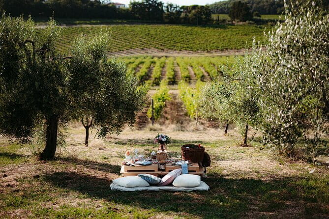 From Florence to Chianti Rufina: Wine Tasting Experience - The Sum Up