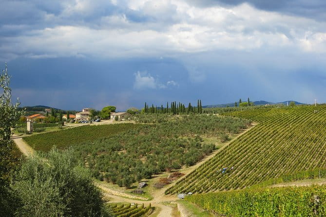 From Florence to Siena - San Gimignano & Pisa by private minivan - Price and Value: Does It Add Up?