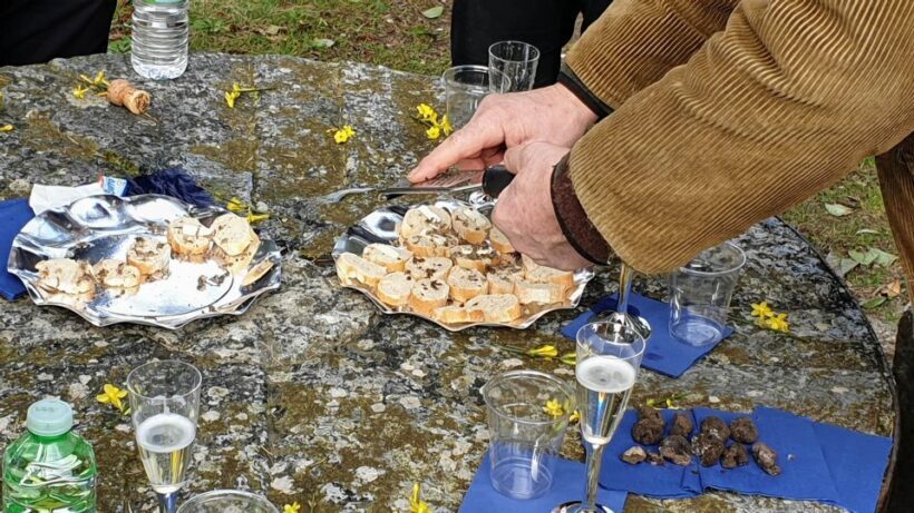 From Florence: Truffle Hunt and Lunch in the Countryside - FAQs