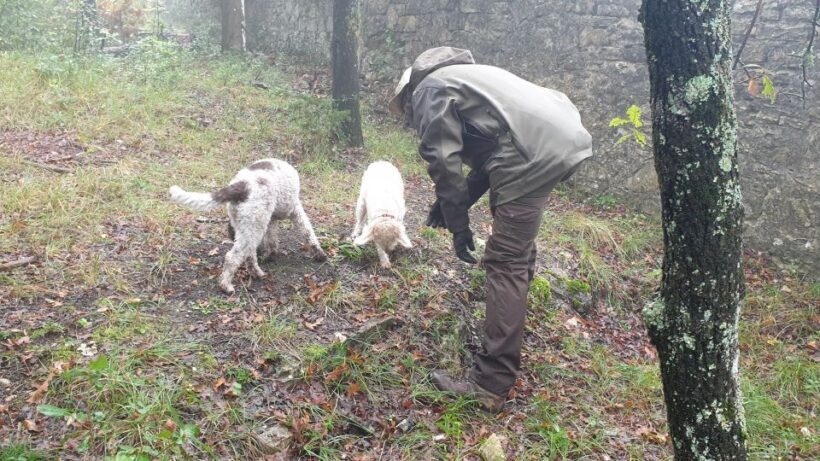 From Florence: Truffle Hunt and Lunch in the Countryside - Final Thoughts
