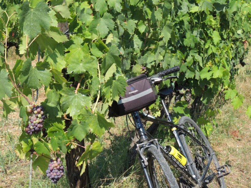 From Florence: Tuscan Hills Biking with Farm Tour and Lunch - Final Thoughts