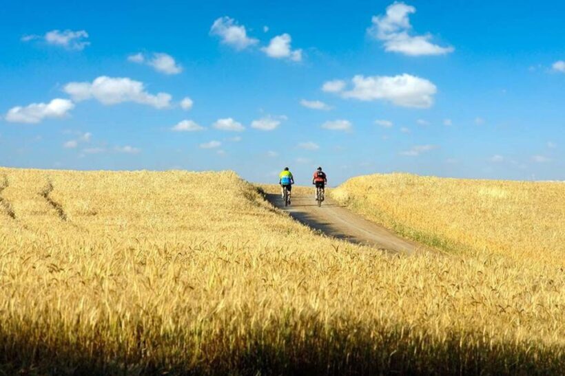 From Florence: Tuscany by E-Bike with Lunch and Wine Tasting - Authentic Experiences and Potential Drawbacks