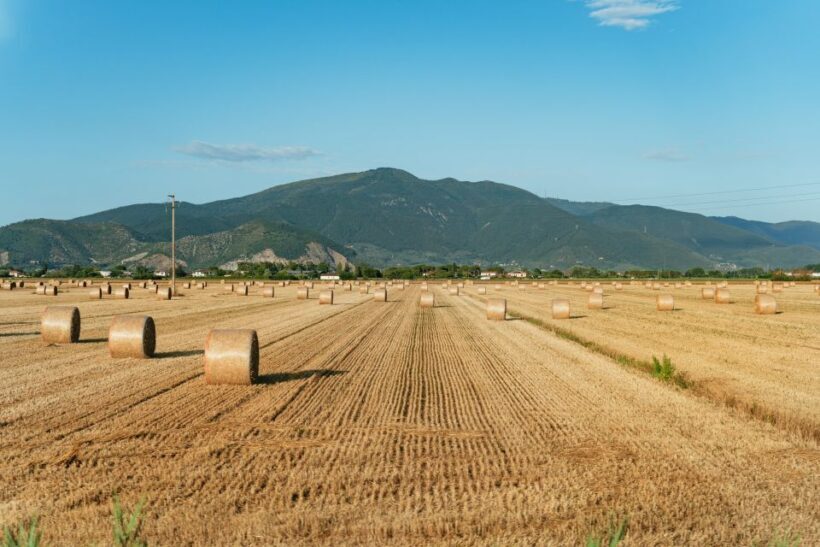 From Florence: Tuscany Day Trip with Lunch at Chianti winery - Pisa and the Leaning Tower