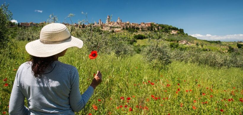 From Florence: Tuscany Highlights Full-Day Tour - A Full Breakdown of the Tour Experience