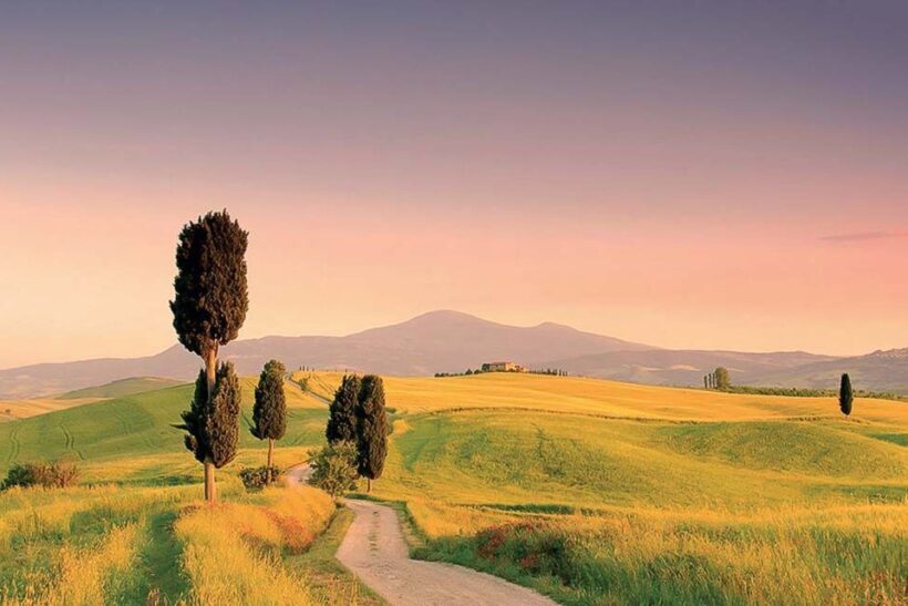 From Florence: Tuscany Hills Wine Tour - What the Tour Offers: An Overview