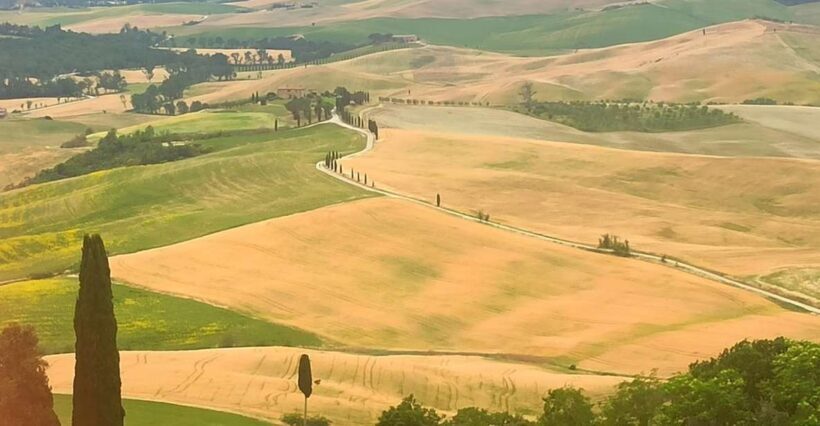 From Florence: Val d'Orcia Region Private Wine Tasting Tour - Exploring the Val dOrcia: A Taste of Tuscany’s Beautiful Wine Country