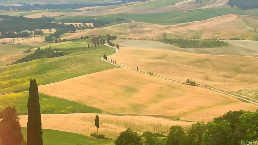 From Florence: Val d'Orcia Region Private Wine Tasting Tour - What Makes This Tour Stand Out?