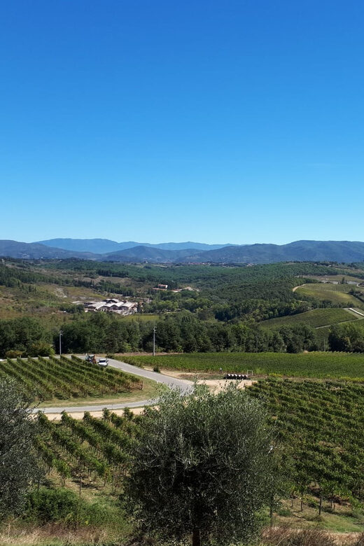 From Florence: Vintage Fiat 500 Chianti & Tuscany Wine Tour - A Closer Look at the Experience