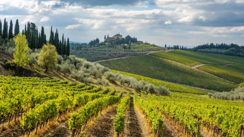 From Florence: Wine Tour in Siena and Tuscan Countryside - Introduction