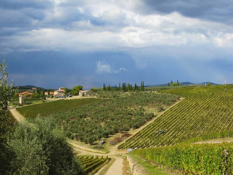 From FlorenceSiena Day Trip including stop at Monteriggioni - Transportation and Logistics