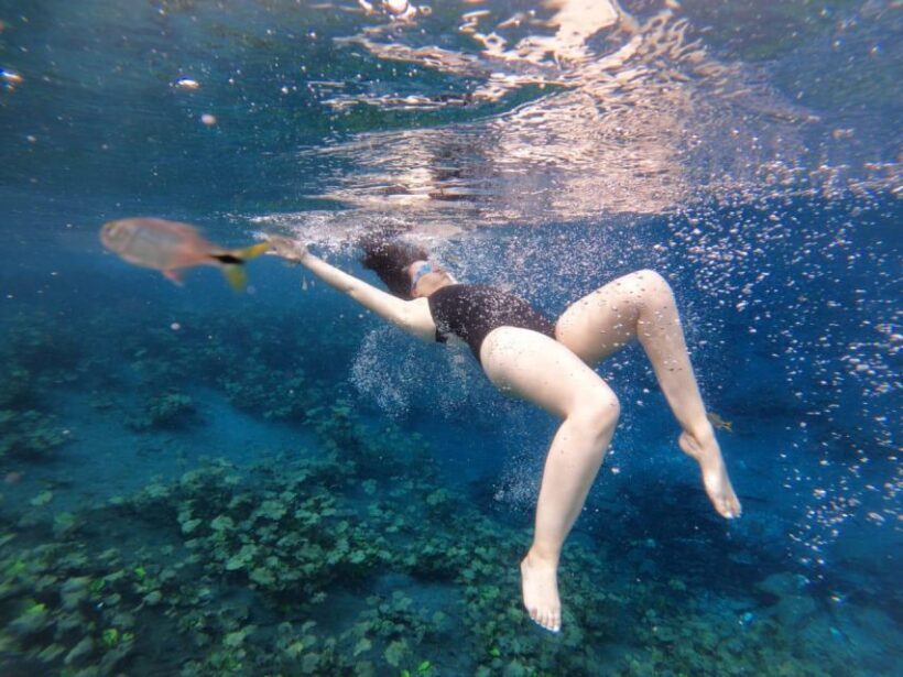 From Flores: Blue Crater private day tour - The Itinerary in Detail