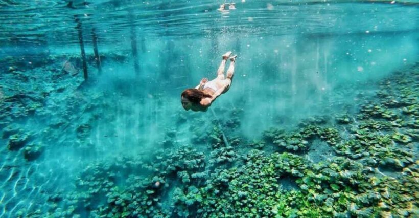 From Flores: El Pucte Blue Crater Private Day Tour - An In-Depth Look at the Tour