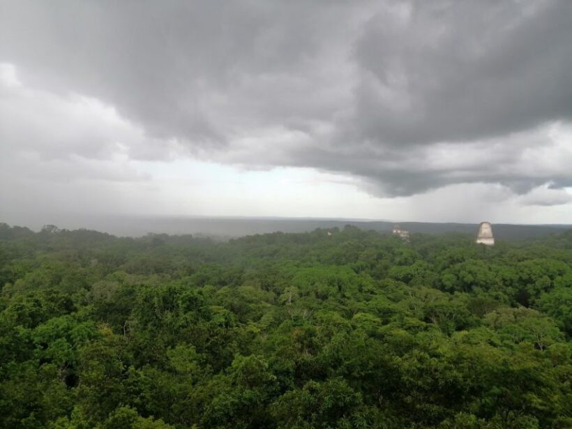 From Flores: Exclusive Tikal Group Tour - Introduction: An Authentic Visit to Tikal from Flores