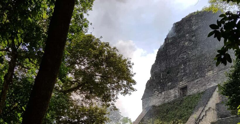 From Flores: Guided Tour to the Ruins of Tikal - Key Points