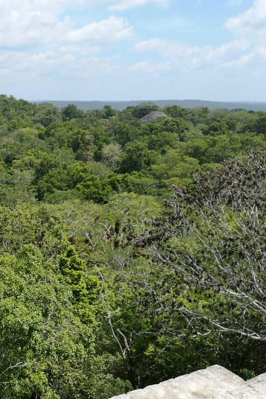 From Flores: Guided Tour to the Ruins of Tikal - Exploring the Tikal Guided Tour: A Deep Dive