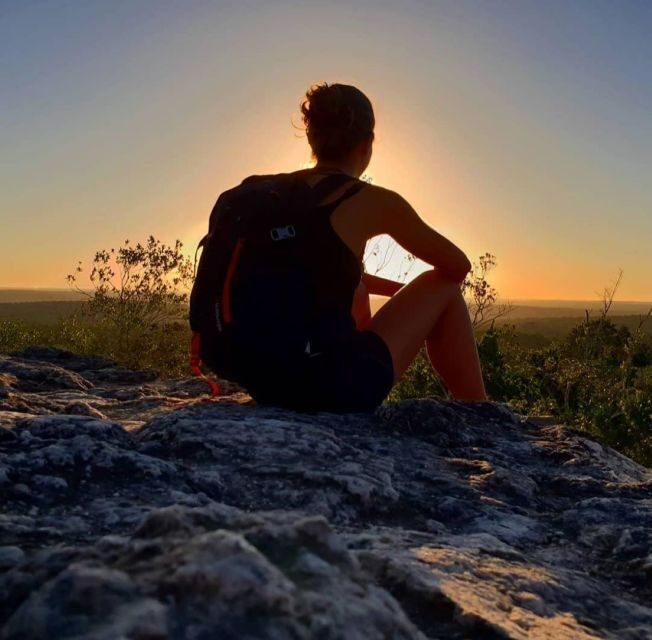 From Flores: La Danta & El Mirador Day Tour by Helicopter - Key Points