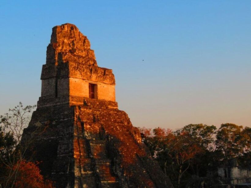 From Flores, Petén: Tikal Mayan Ruins Adventure - Who Will Love This Tour?